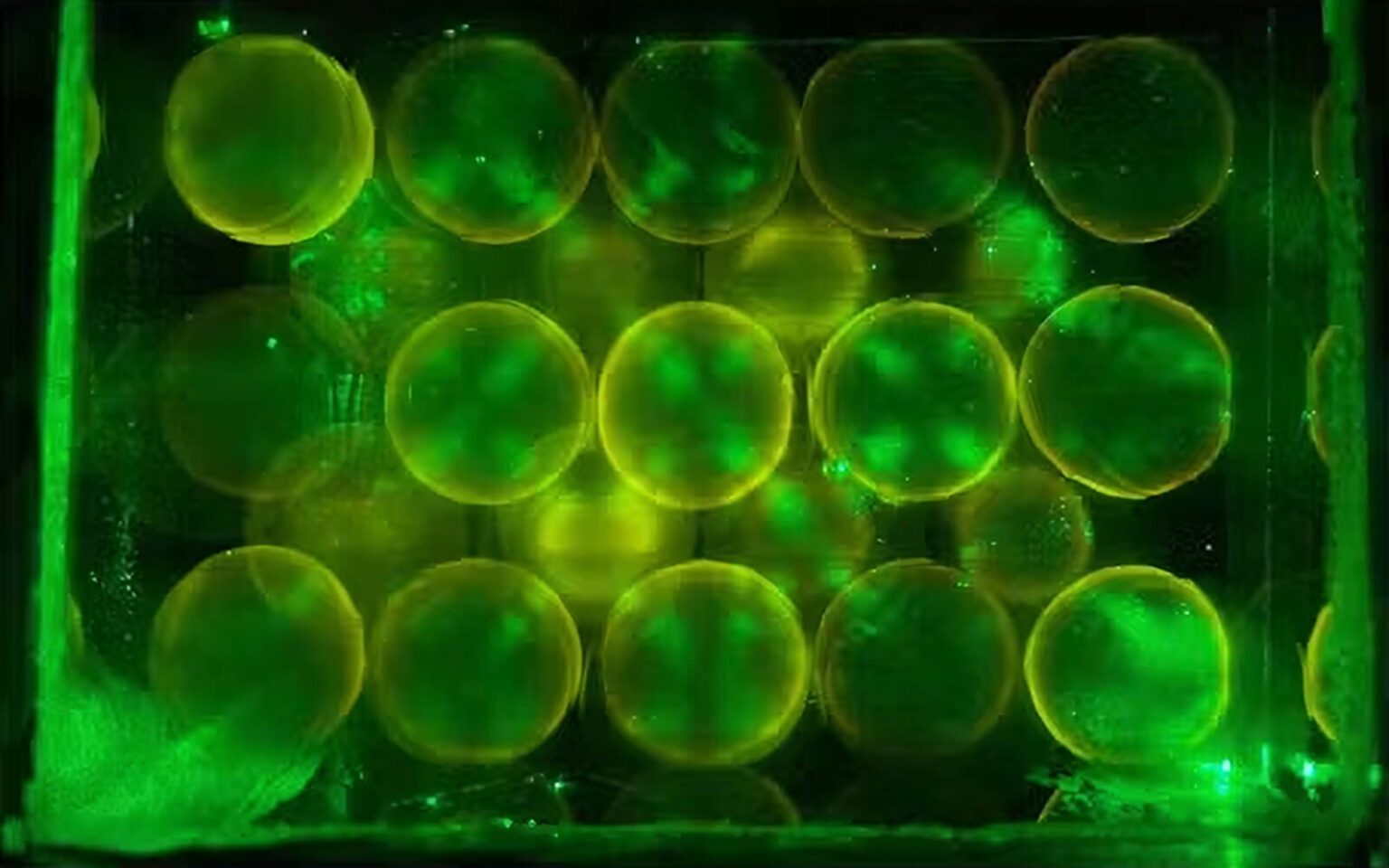 HOLO – Emerging trajectories in art, science, and technology